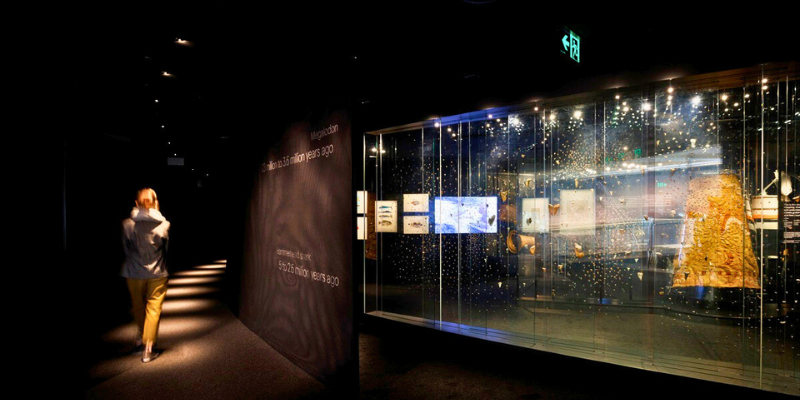 ShowTex in Australia - Specialty fabrics for stage, set, scenery, event ...